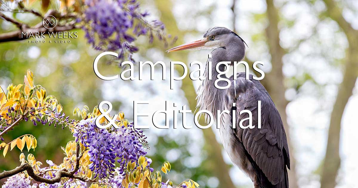 Mark Weeks Photo & Video, London. | Campaigns & Editorial